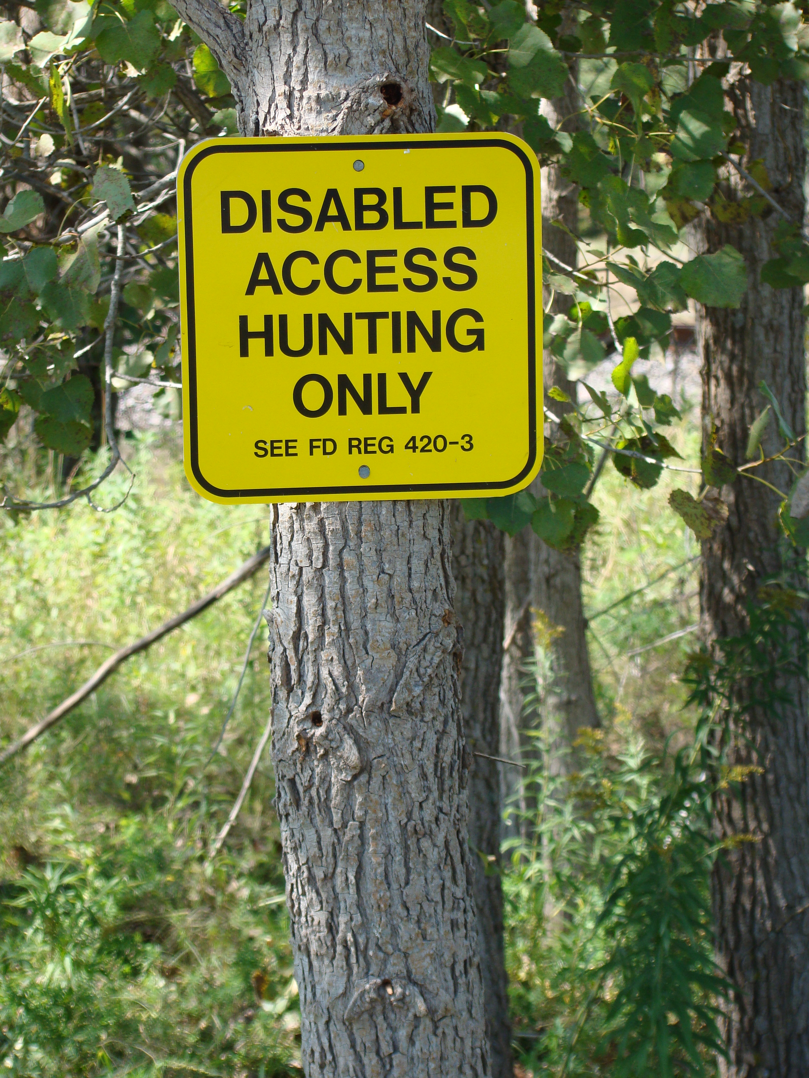 Disabled Access Hunting Opportunities - Fort Drum - iSportsman